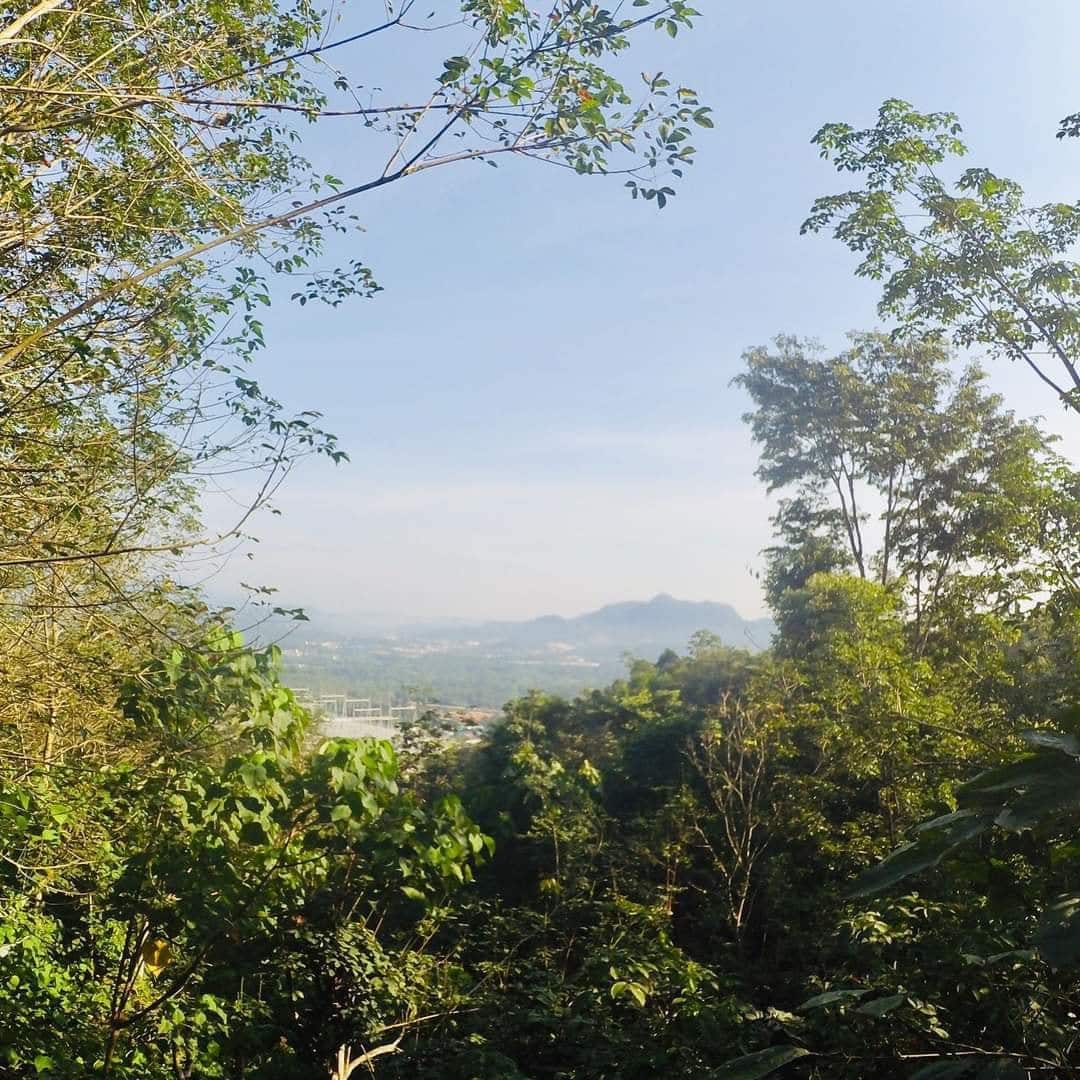 Gibbon Retreat Bentong - Nikmati Keindahan Alam - Cuti Viral