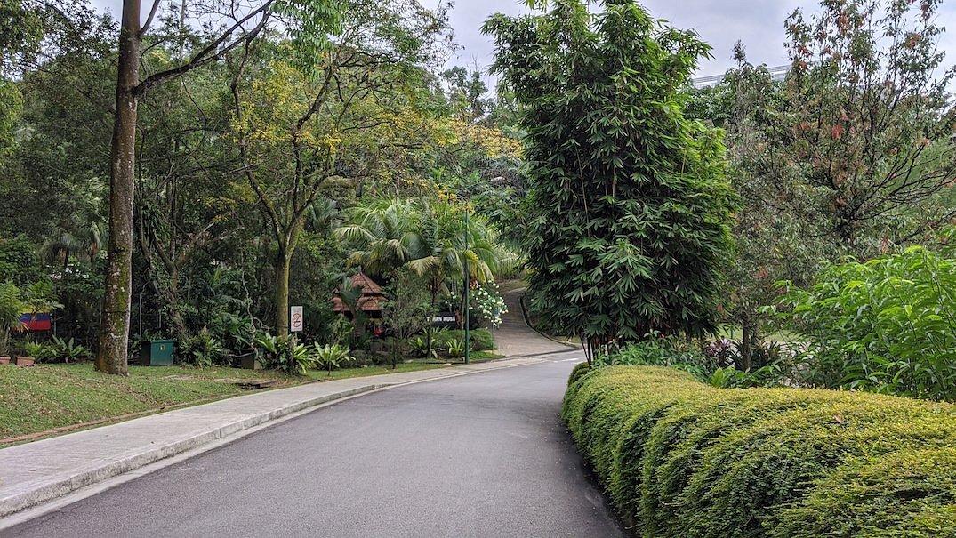 Taman Botani Perdana - Tasik Di Tengah Bandaraya KL - Cuti Viral